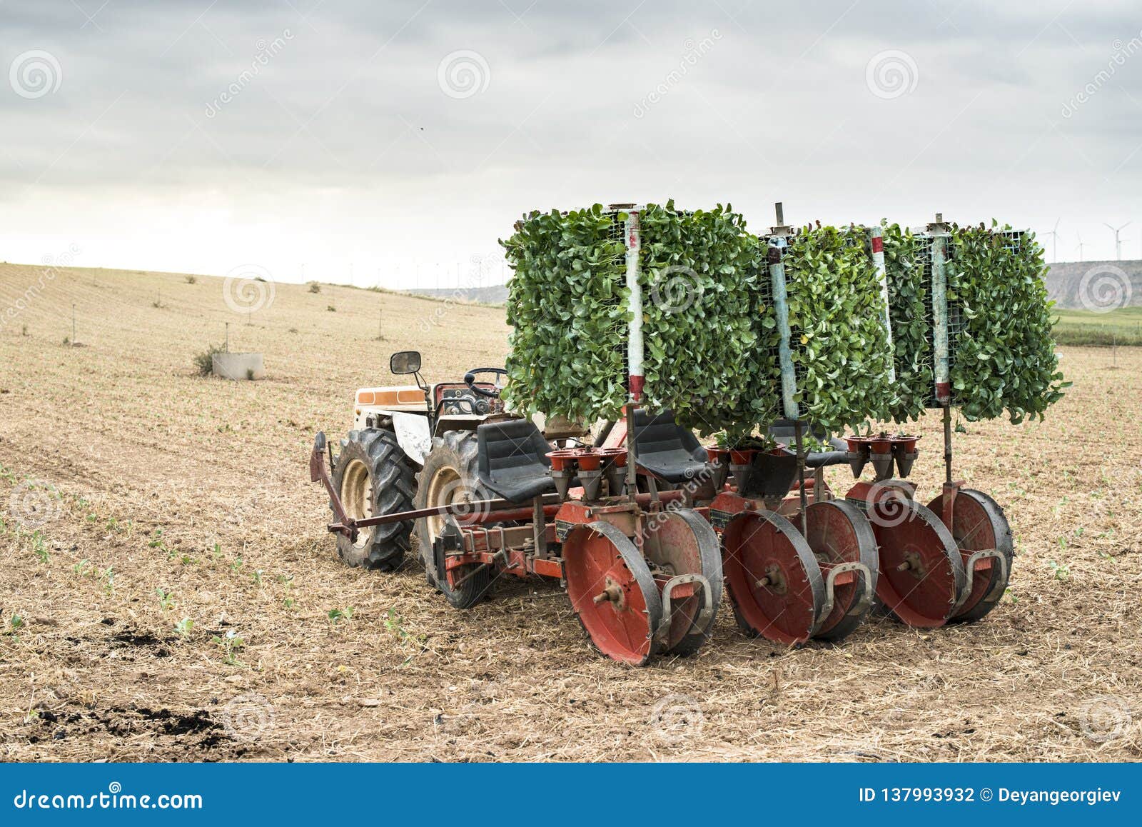 Planting seedlings machine stock photo. Image of sekinchan - 137993932