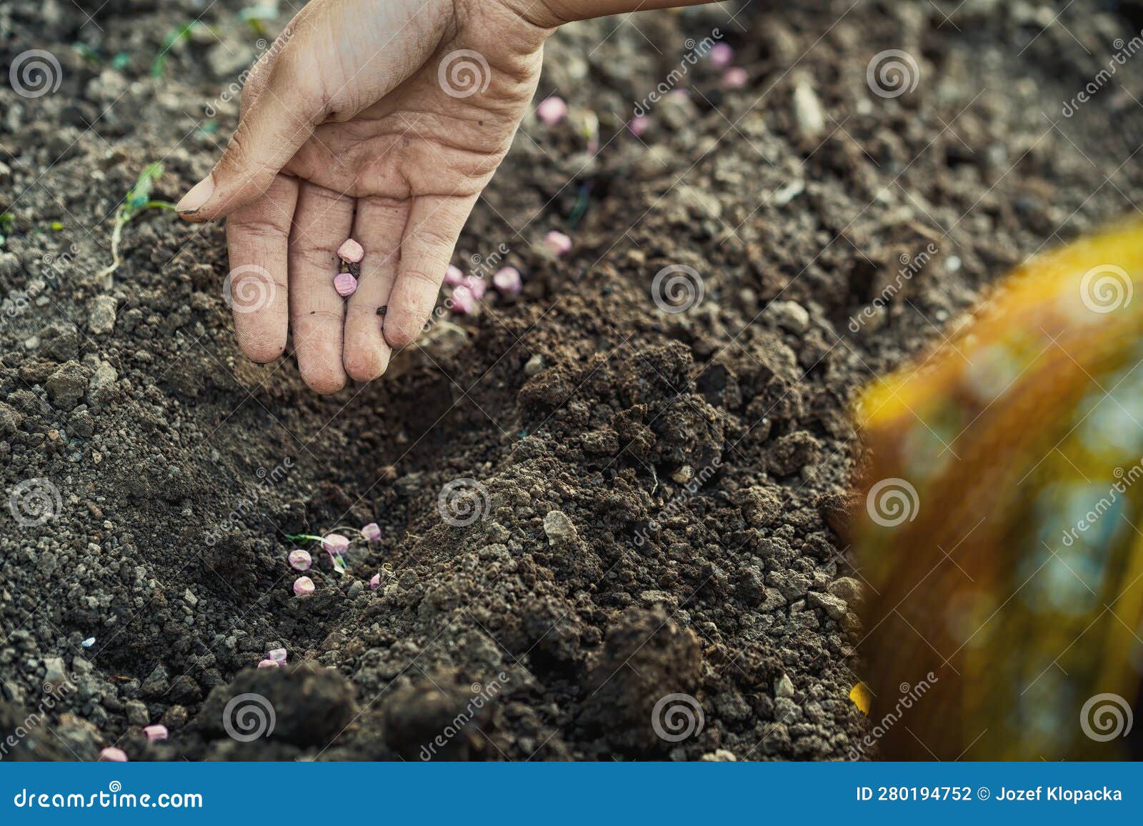 Planting Seeds in the Garden, Spring Garden Work Stock Photo - Image of ...