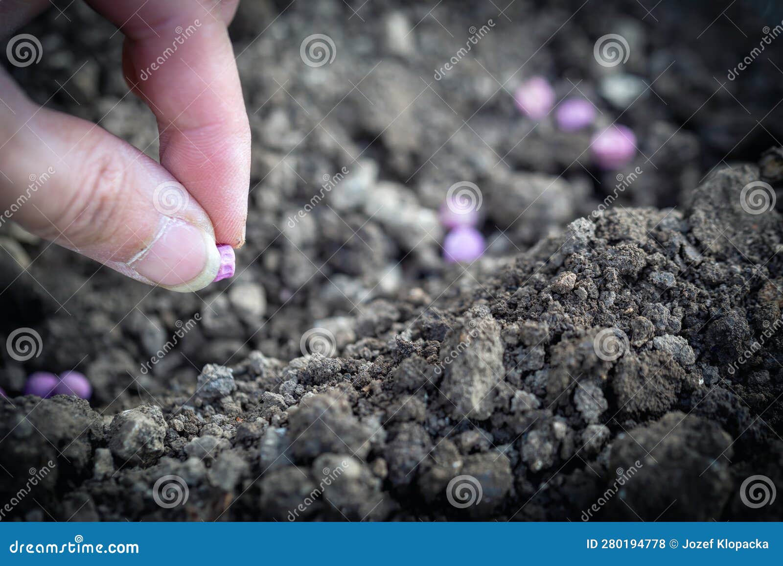 Planting Seeds in the Garden, Spring Garden Work Stock Photo - Image of ...