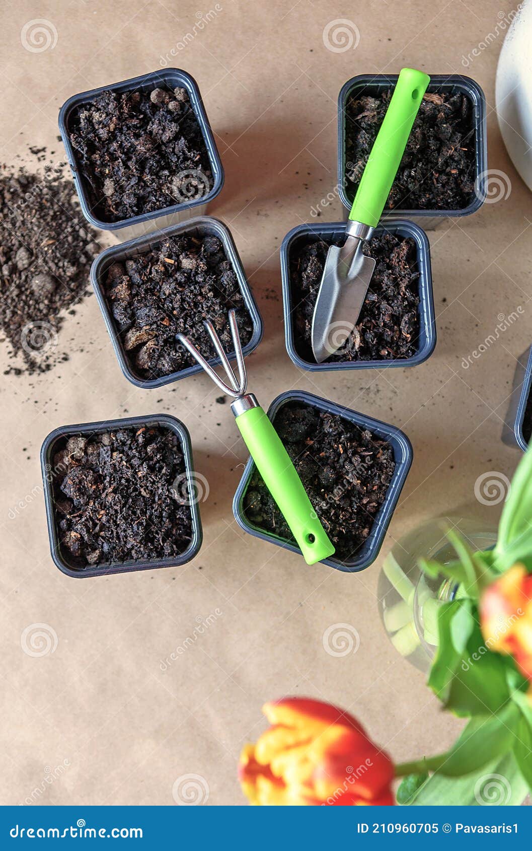 Planting Seeds in Seedling Containers with Earth. Garden Objects on the ...