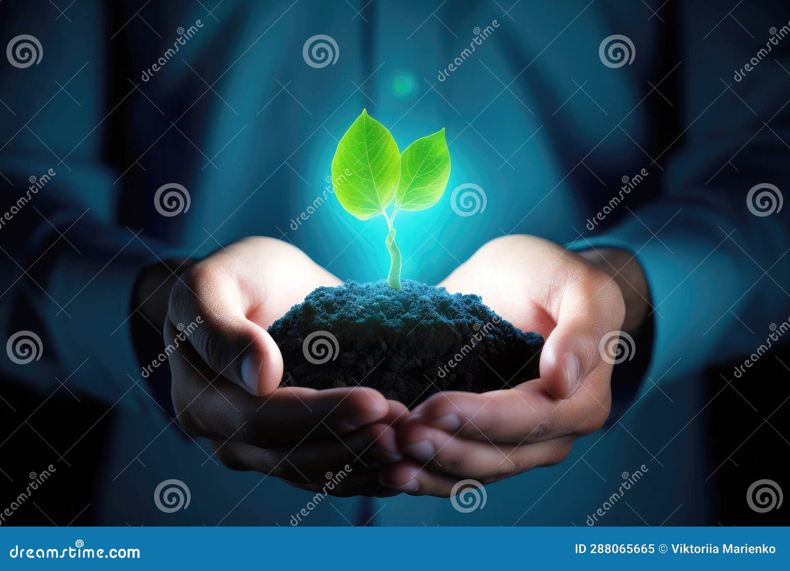 Planting Seeds of Sustainability: Hands Embracing a Green Sapling Stock ...