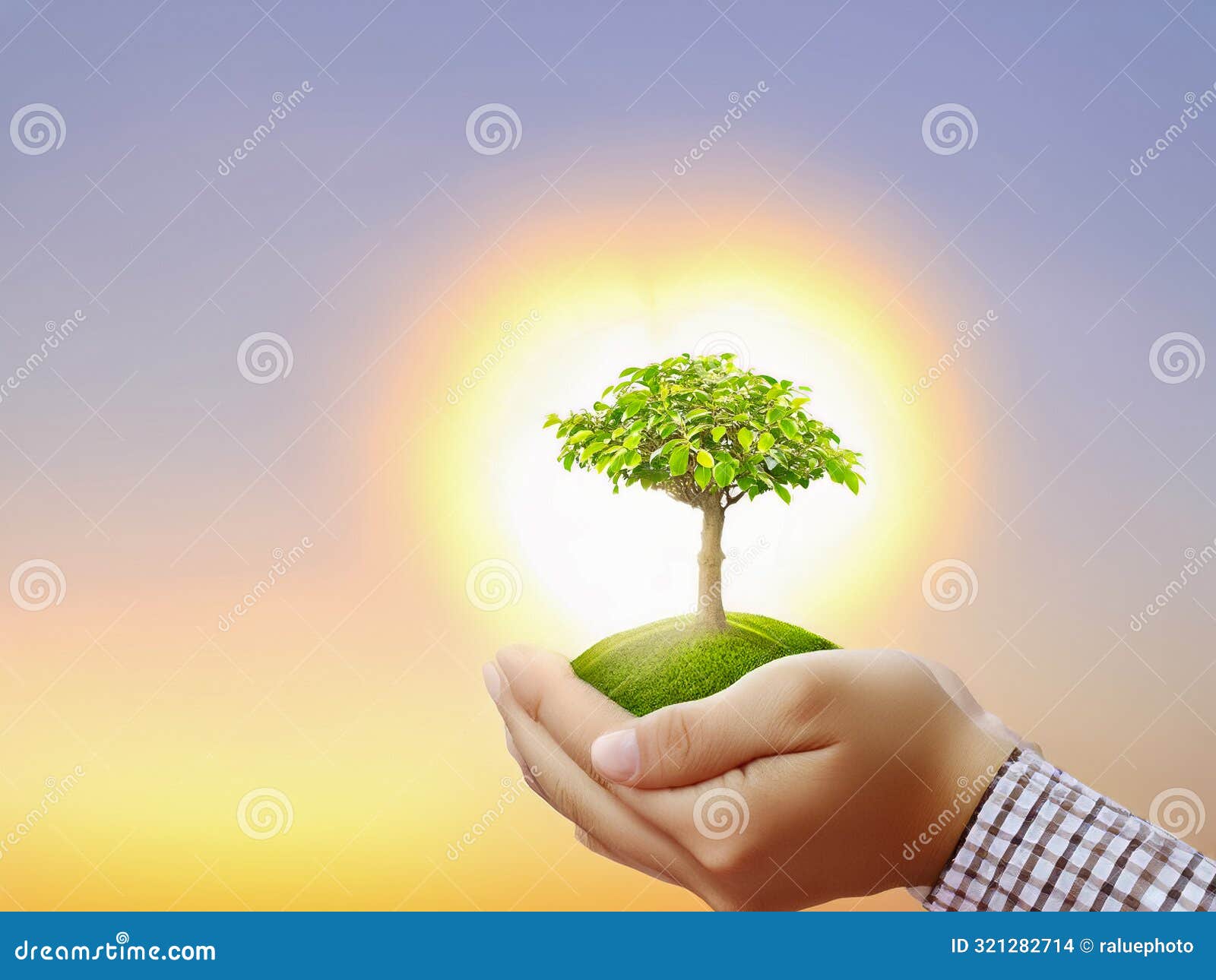 Planting a Small Tree in the Ground - Planting a Small Tree by Hand ...