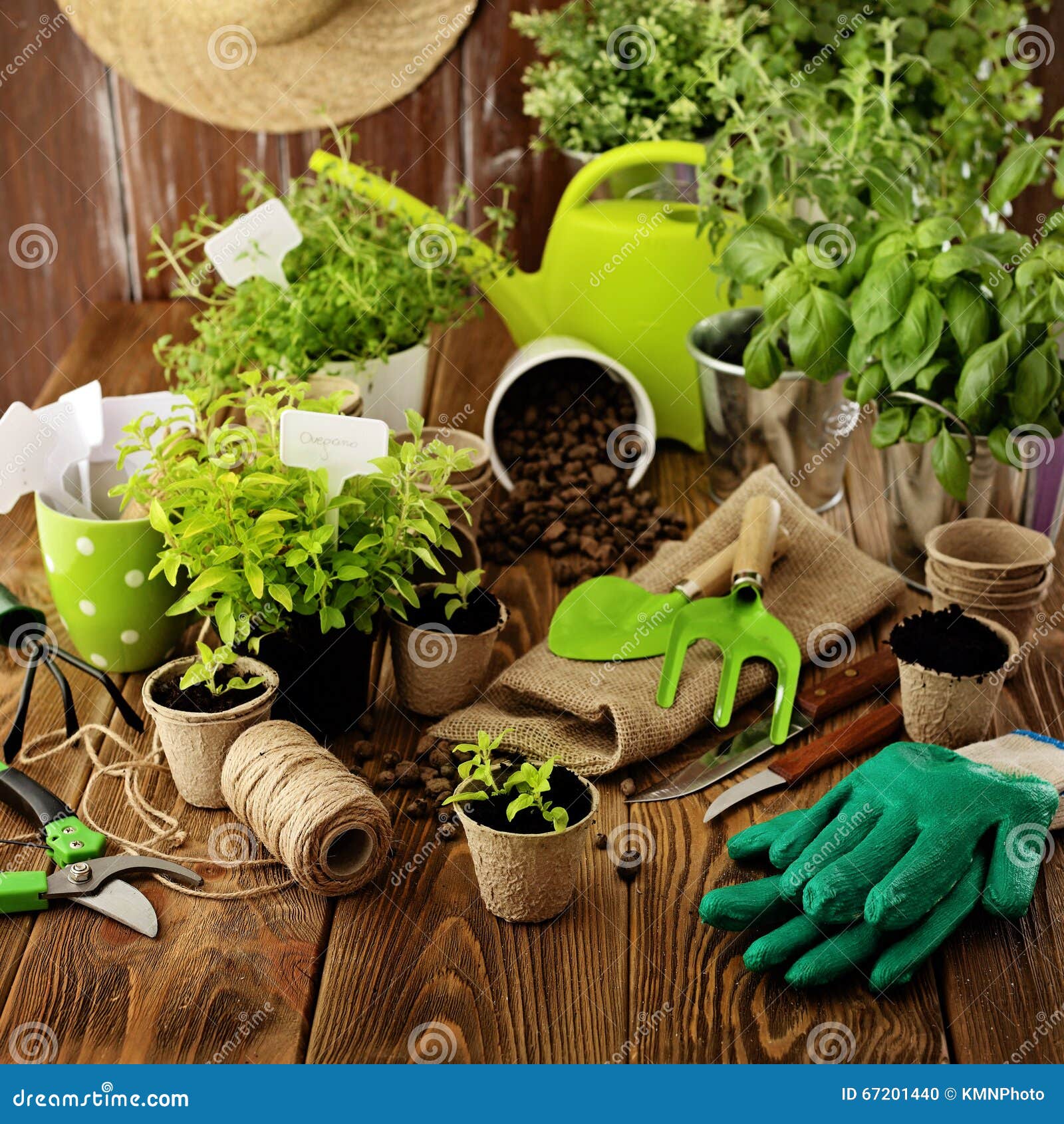 Planting tools stock photo. Image of green, botanical - 67201440