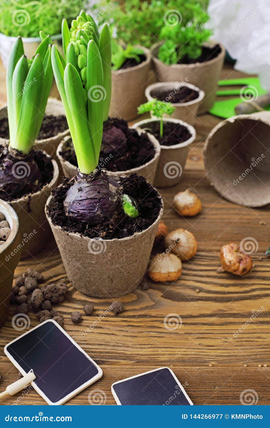 Planting tools stock image. Image of garden, season - 144266977