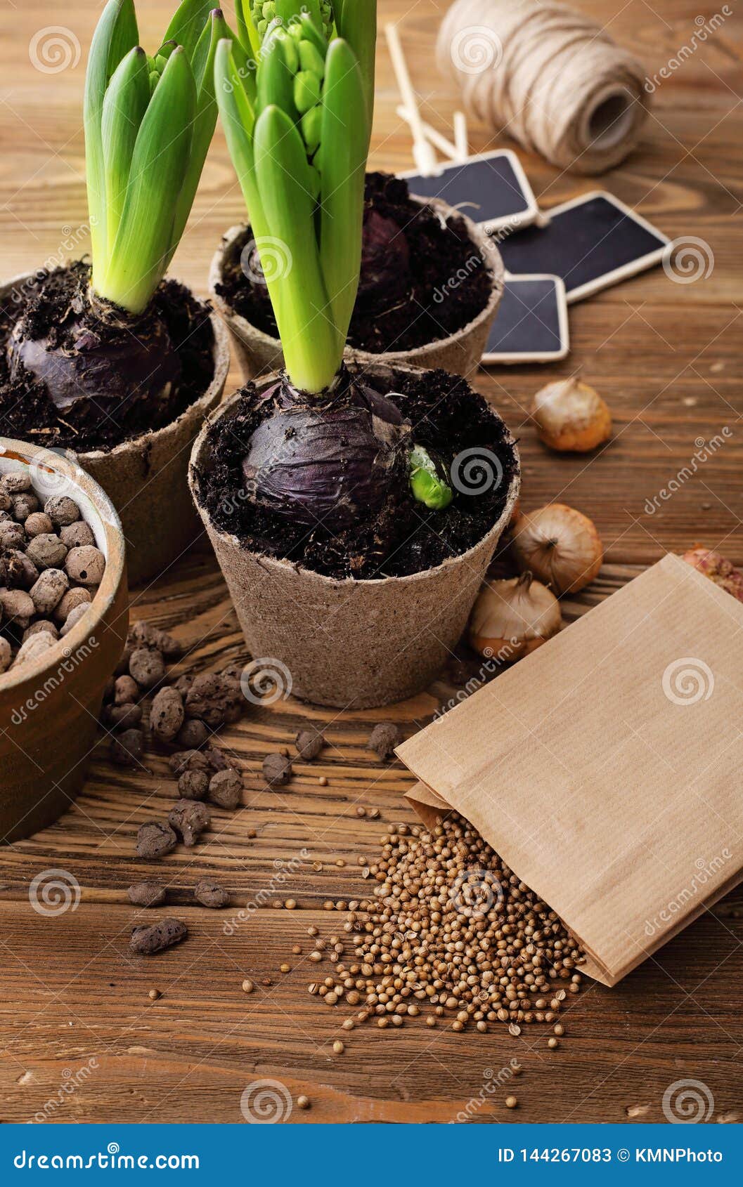 Planting tools stock image. Image of potting, cultivation - 144267083