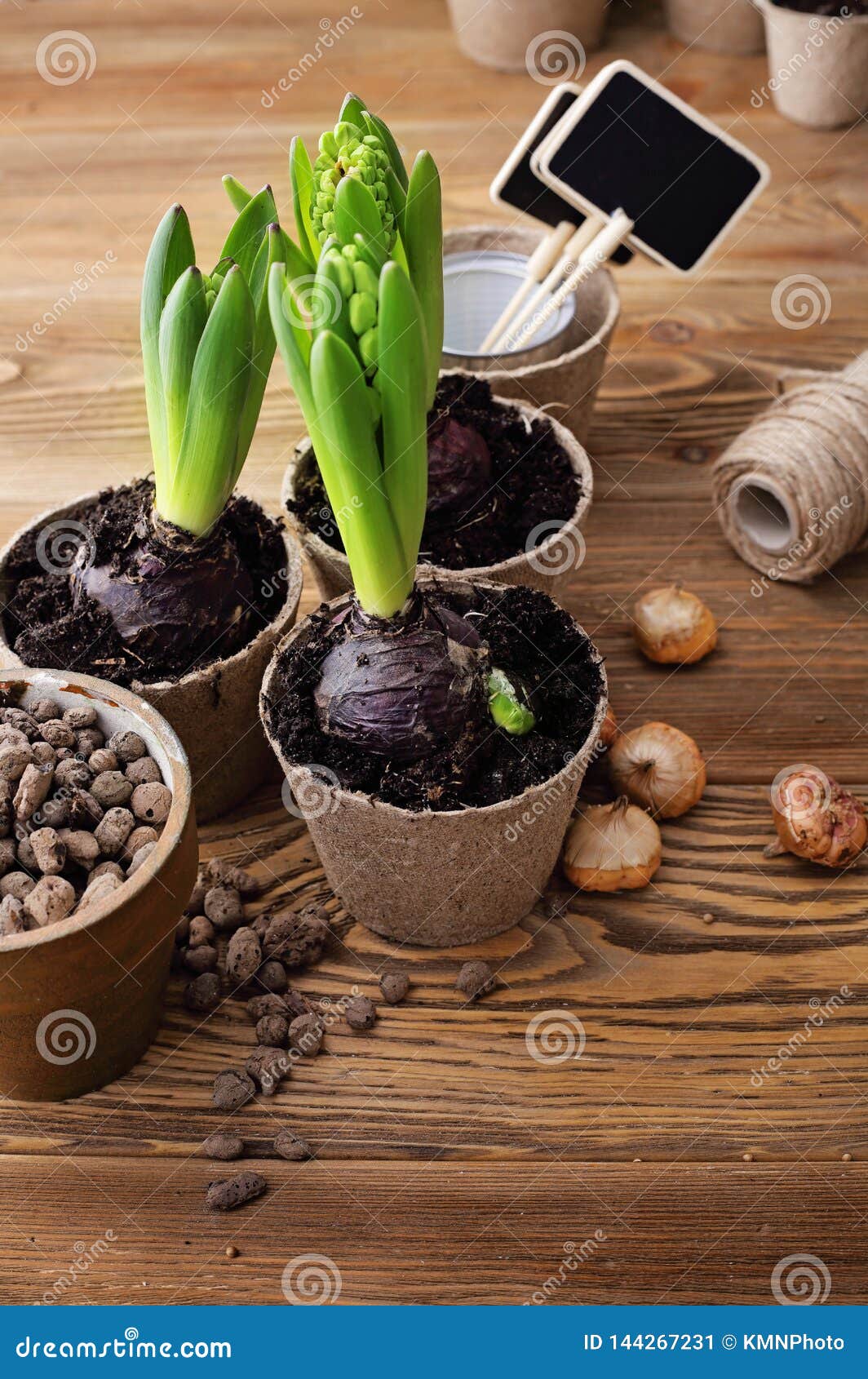 Planting tools stock image. Image of earth, plants, blade - 144267231