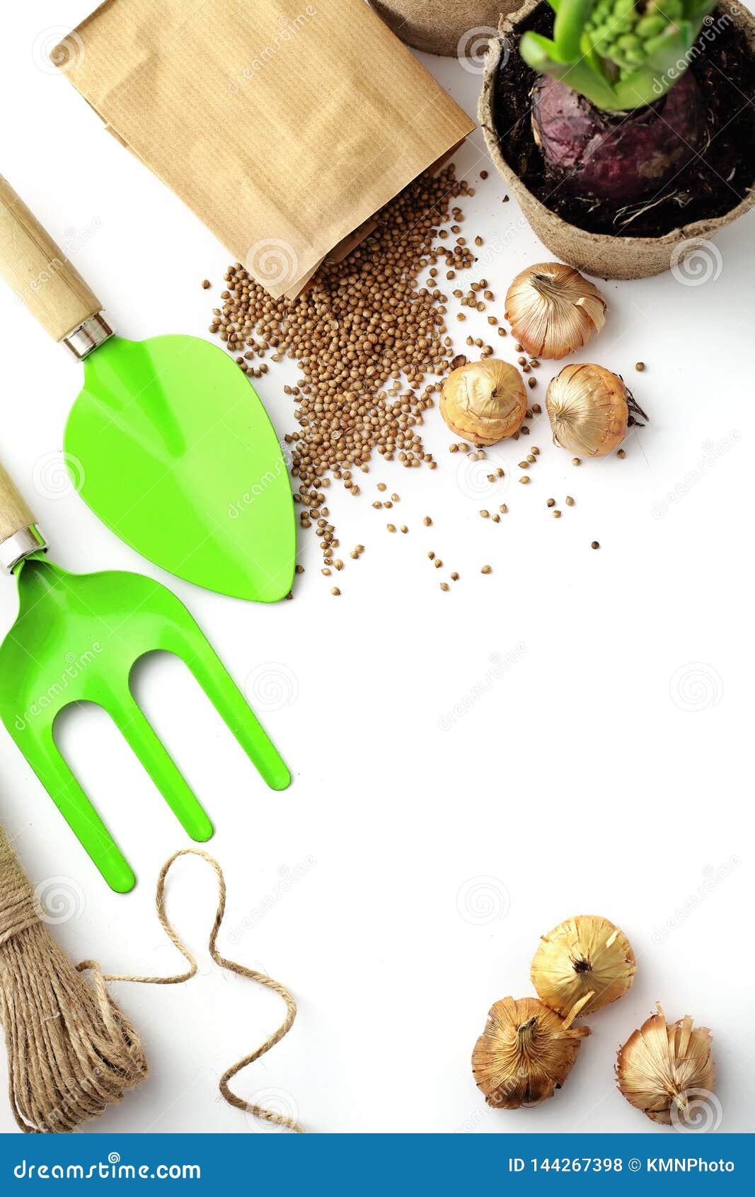 Planting Tools on White Background Stock Photo - Image of sage, bulbs ...