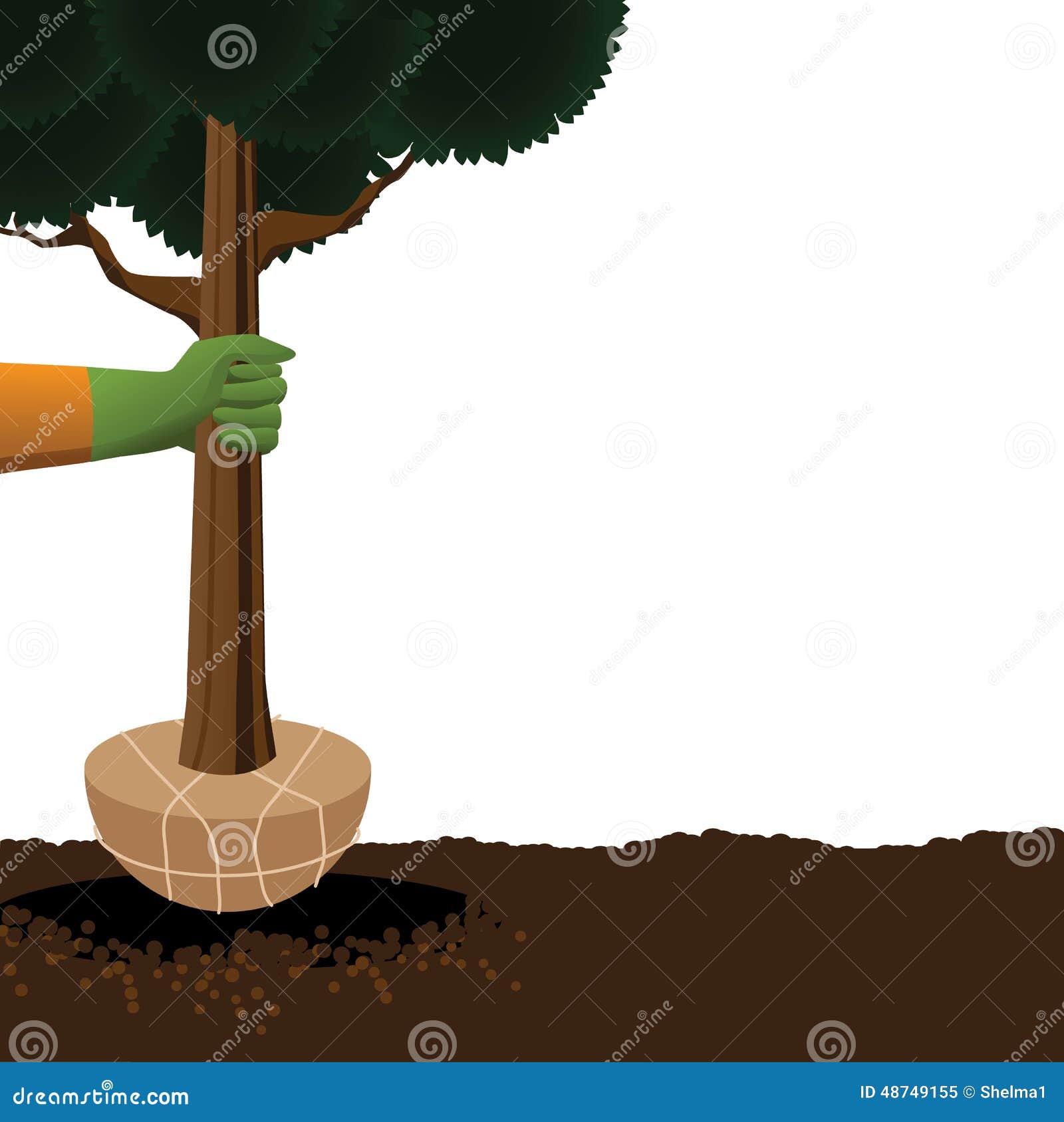 Tree Planting Background Stock Illustrations – 5,358 Tree Planting ...