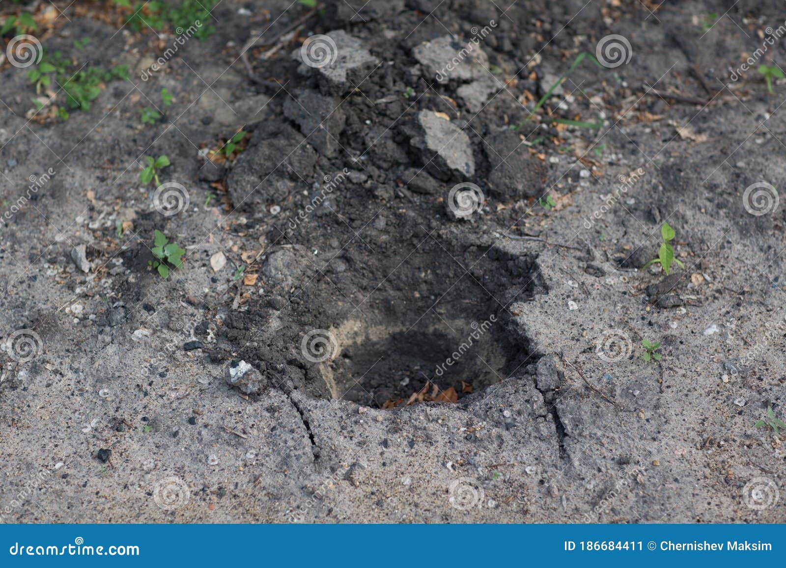 Planting Tree in the Ground. Hole and Plant Seedlings Trees. Stock ...
