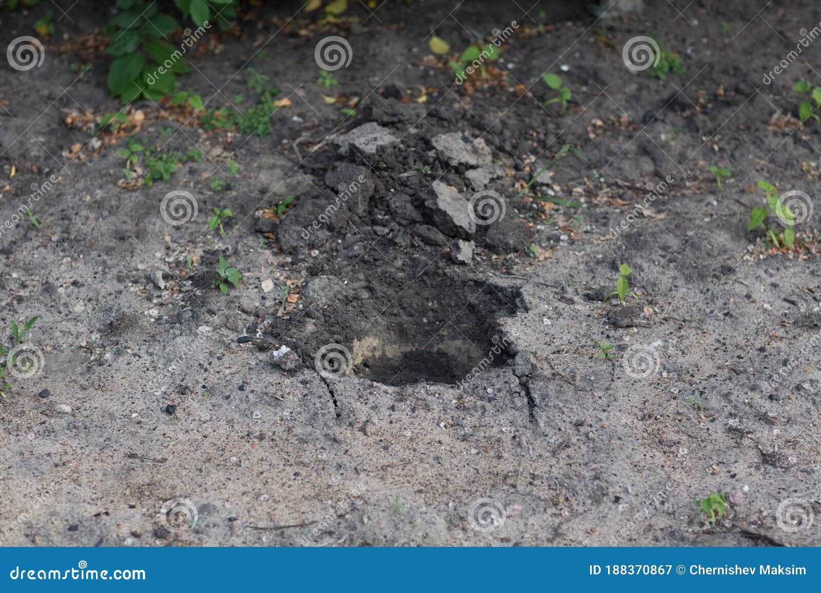 Planting Tree in the Ground. Hole and Plant Seedlings Trees. Stock ...