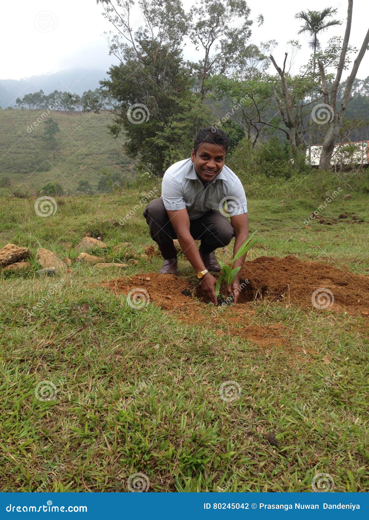Planting tree editorial photography. Image of leasure - 80245042
