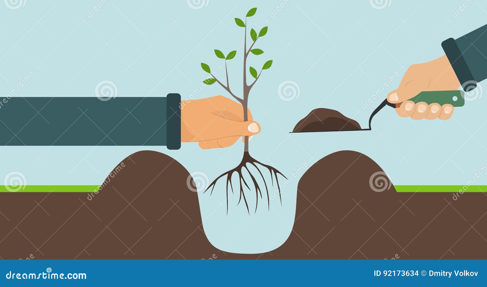 Planting A Tree With Roots, One Hand Holding A Tree, Another Shovel ...