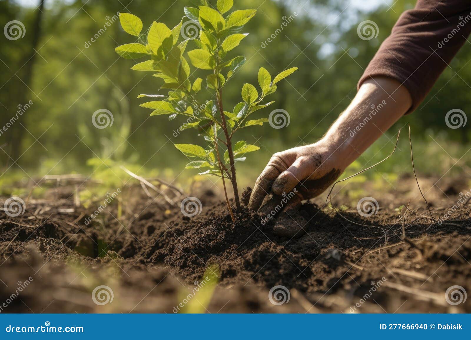 Planting Tree in Soil. Work in Garden. Generative AI Stock Illustration ...