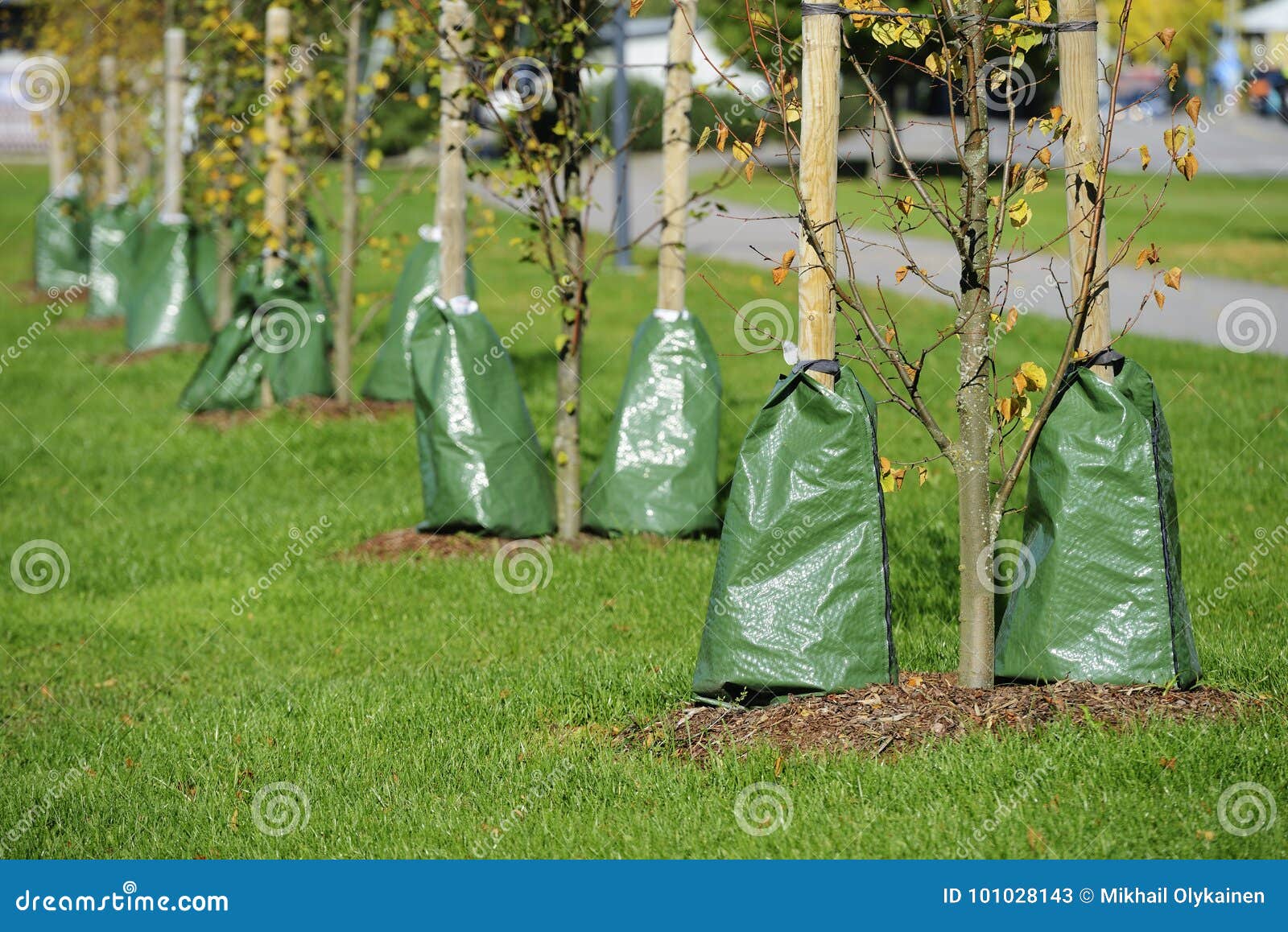 Planting trees in the city stock image. Image of straight - 101028143
