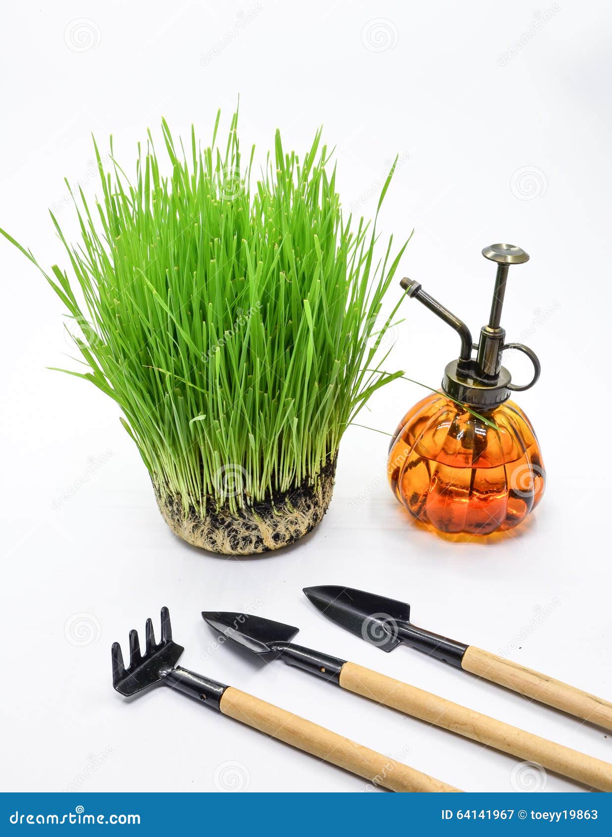 Planting wheat stock image. Image of white, argricultural - 64141967