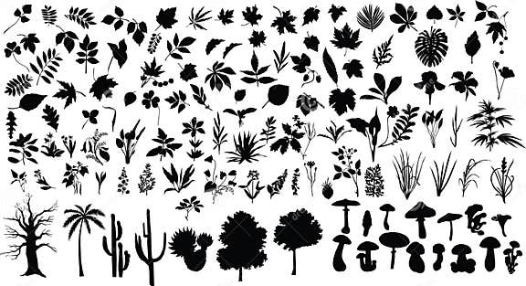 Plants stock vector. Illustration of botany, design, forest - 6455395