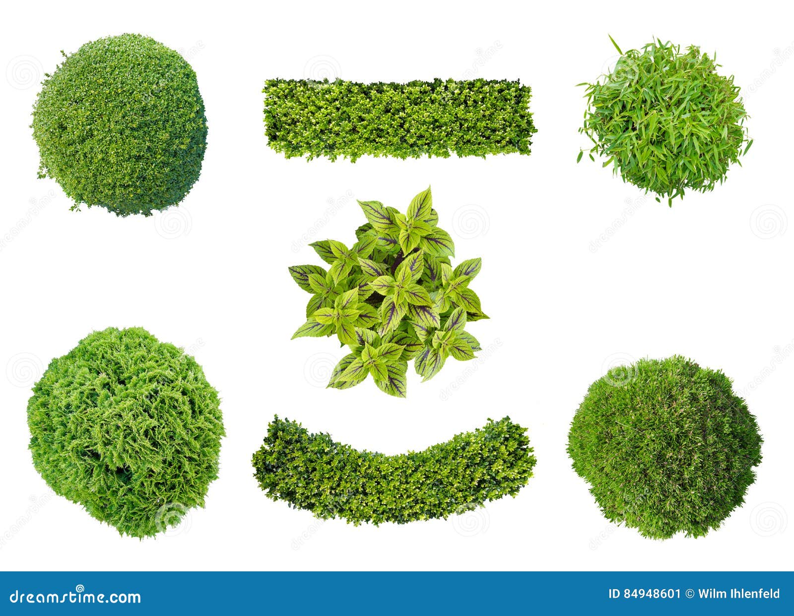 850 Plan View Plants Stock Photos - Free & Royalty-Free Stock Photos ...