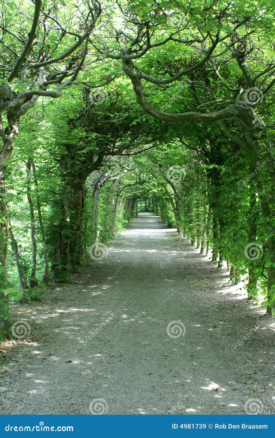 Plants in a Arch stock image. Image of netherlands, dutch - 4981739