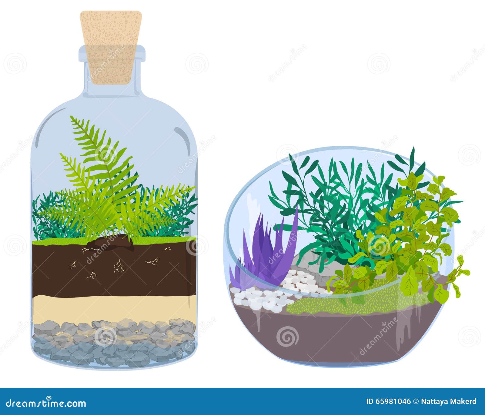 Terrariums Cartoons, Illustrations & Vector Stock Images - 1247 ...