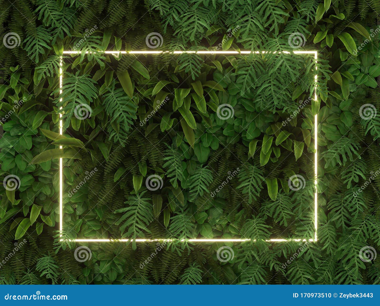 Plants With Bright Light Frame Stock Photo | CartoonDealer.com #170973510