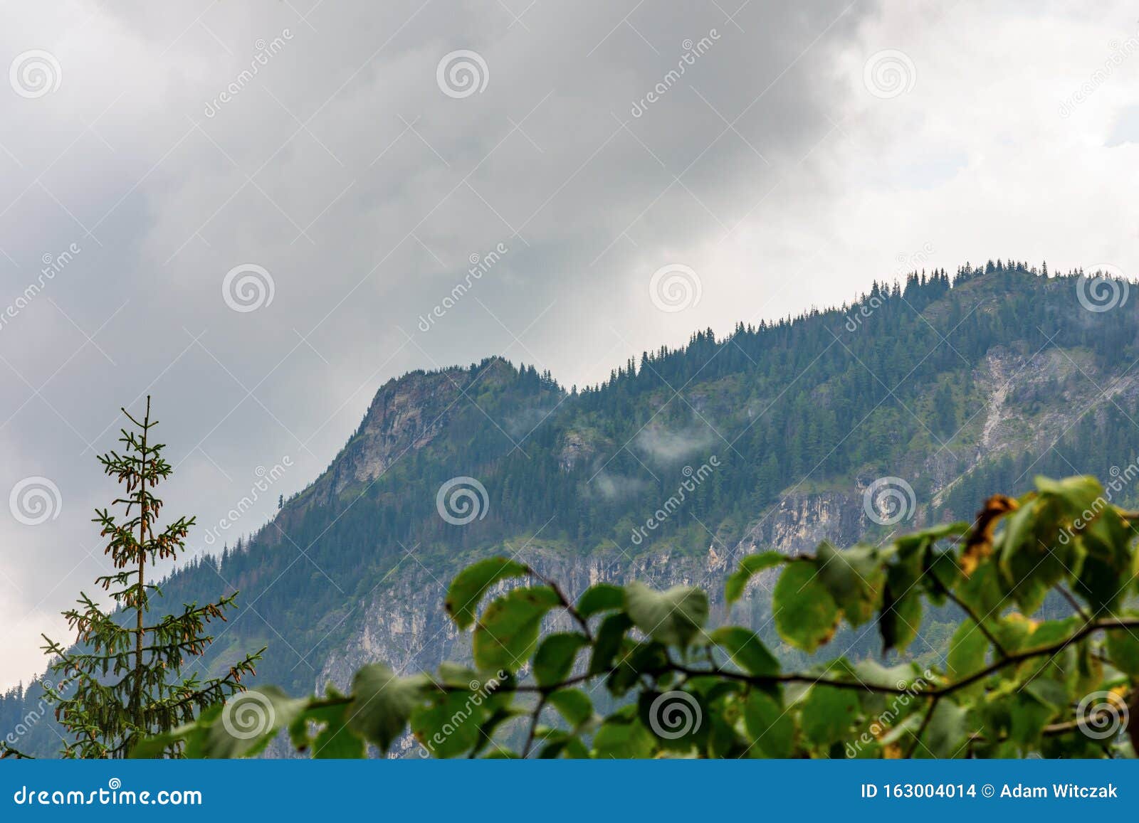 Plants and Bushes in the Foreground. Mountains and Clouds in the ...