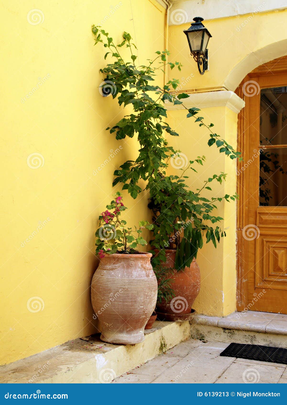 Plants in a Doorway in Corfu Stock Image - Image of porch, secluded ...