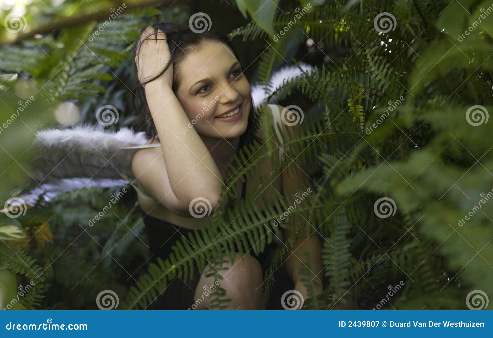 In Plants Fairy Hand Picture. Image: 2439807