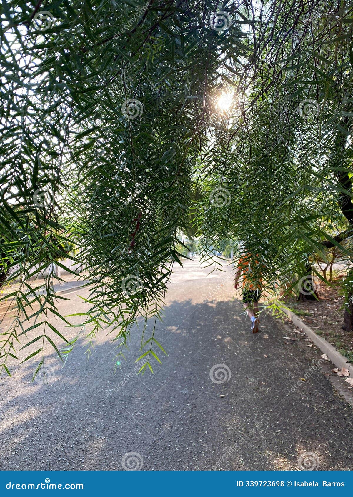 Plants Falling As Man Walks Stock Photo - Image of plant, leaves: 339723698
