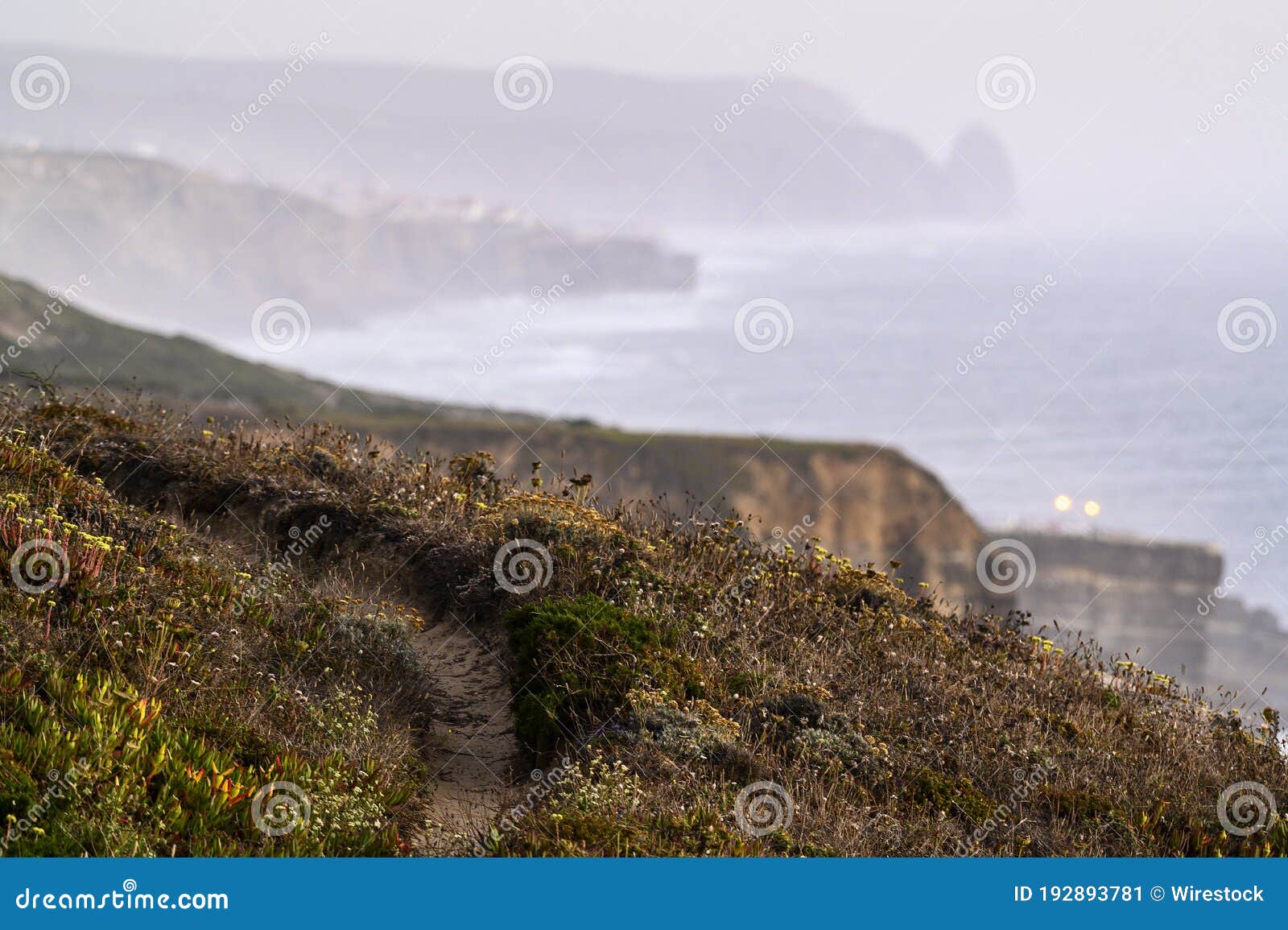 Plants and the Flowers Growing on the Cliffs Stock Image - Image of ...