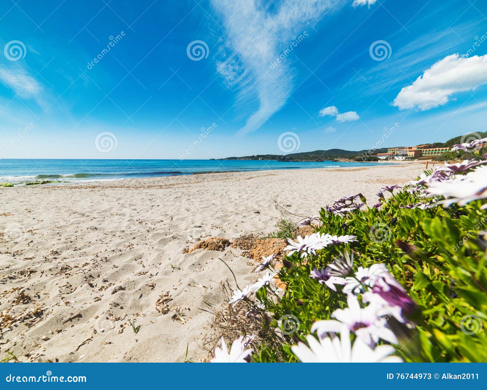 Plants and Flowers in Le Bombarde Beach Stock Image - Image of sardinia ...