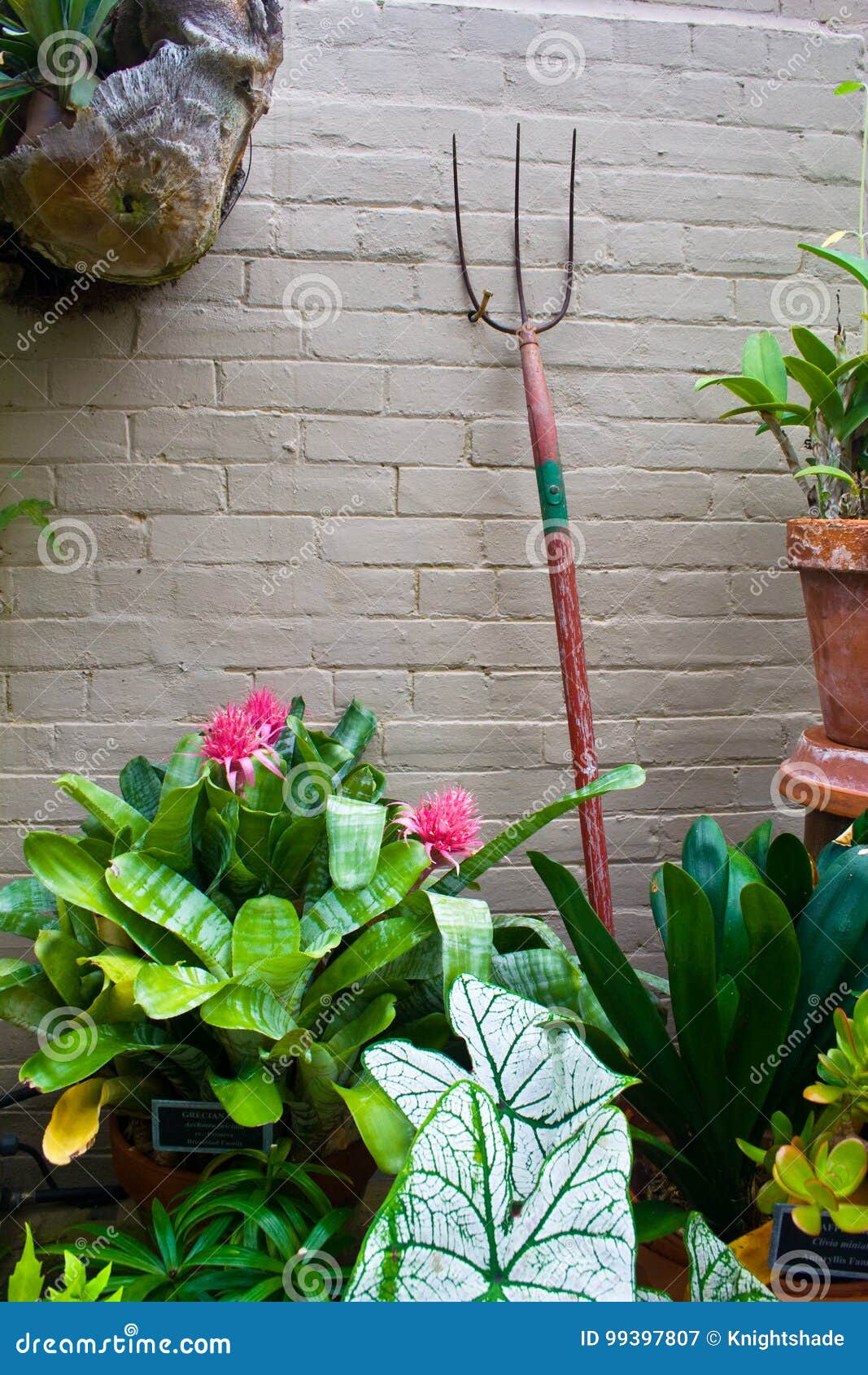 Plants and Fork Against Brick Wall Stock Image - Image of grow, white ...