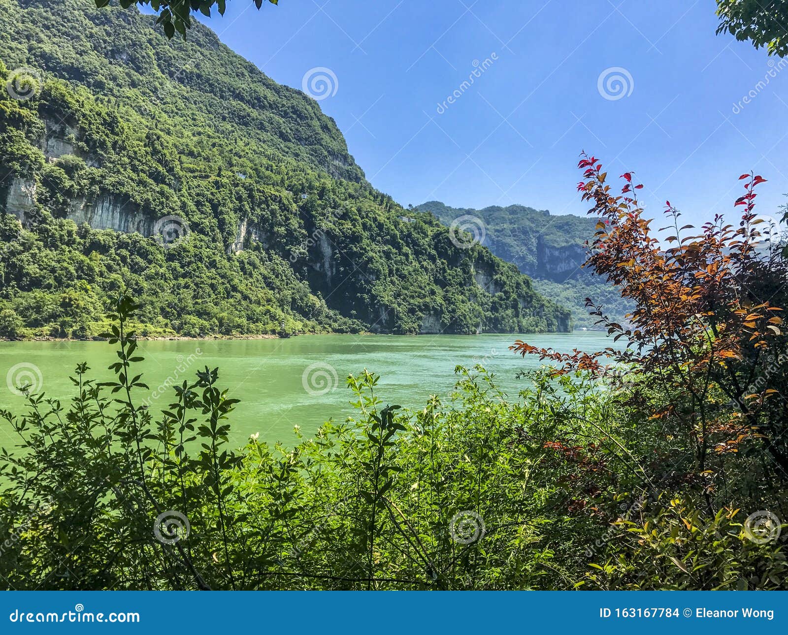 Plants in Green Mountains and Green Waters Stock Photo - Image of ...