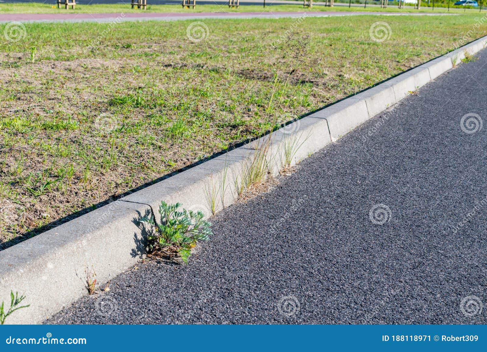 Plants Growing at the Curb on the Road Stock Image - Image of travel ...