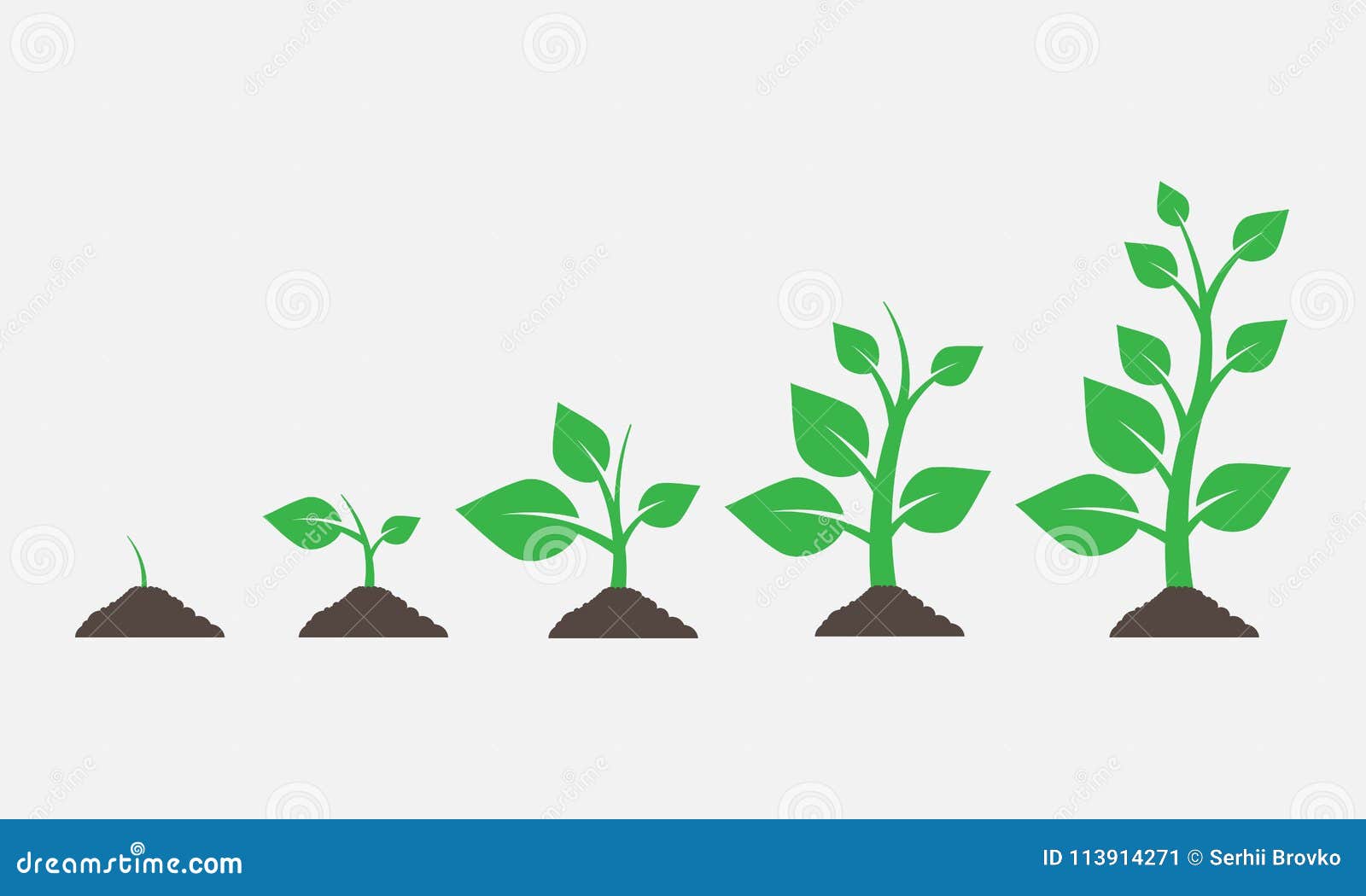 Plants Growing in the Ground. Vector Illustration Stock Vector ...