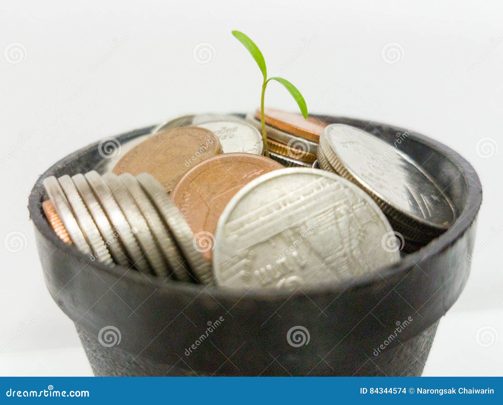 Plants Growing on Money in Black Pot Stock Photo - Image of coin ...