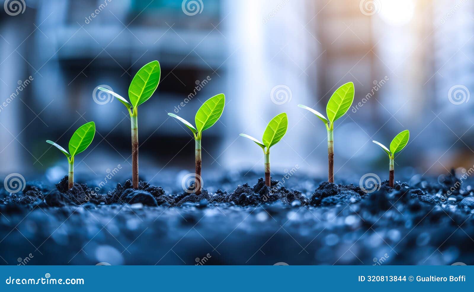 Plants Growing in a Row Symbolizing Growth Stock Illustration ...