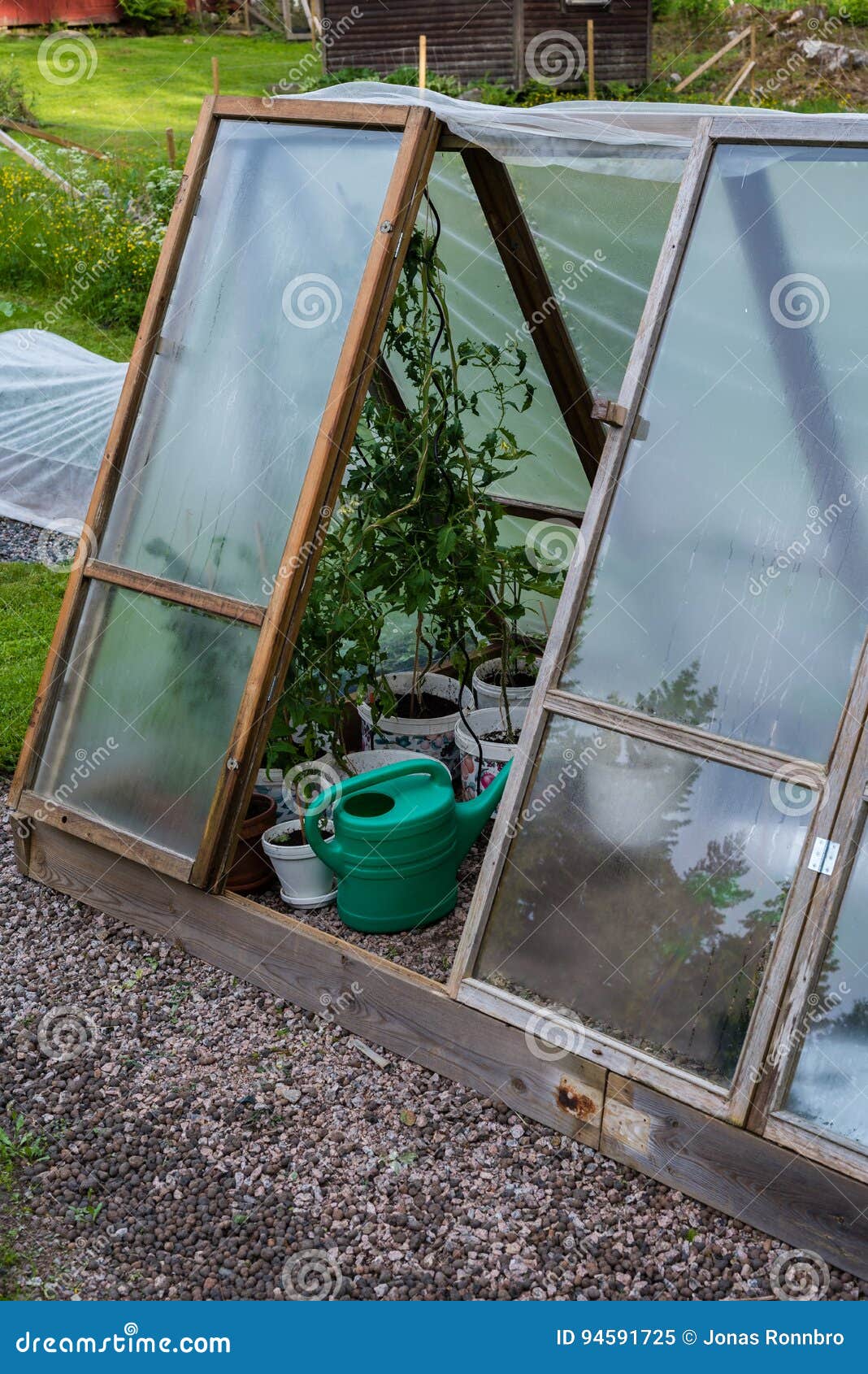 Plants Growing in a Rural Home Stock Image - Image of plant, green ...