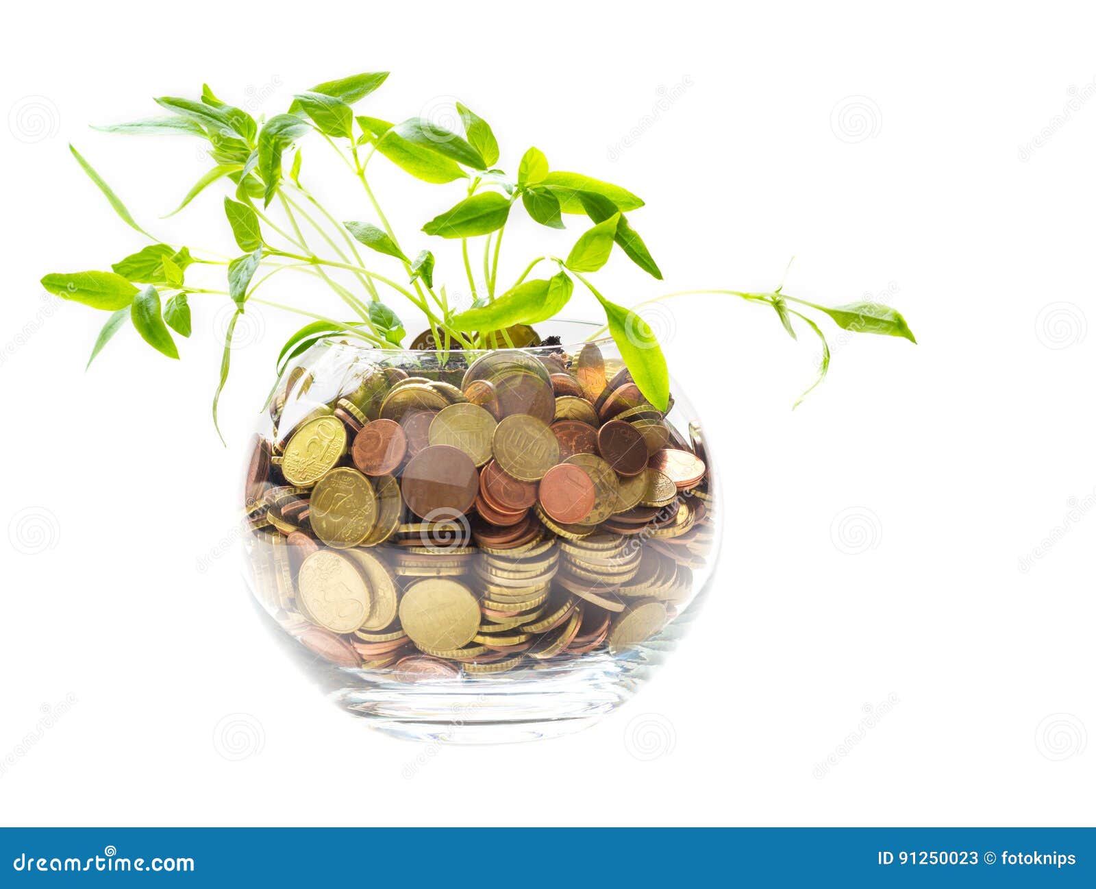 Plants Growing in Savings Coins Stock Image - Image of business, bank ...