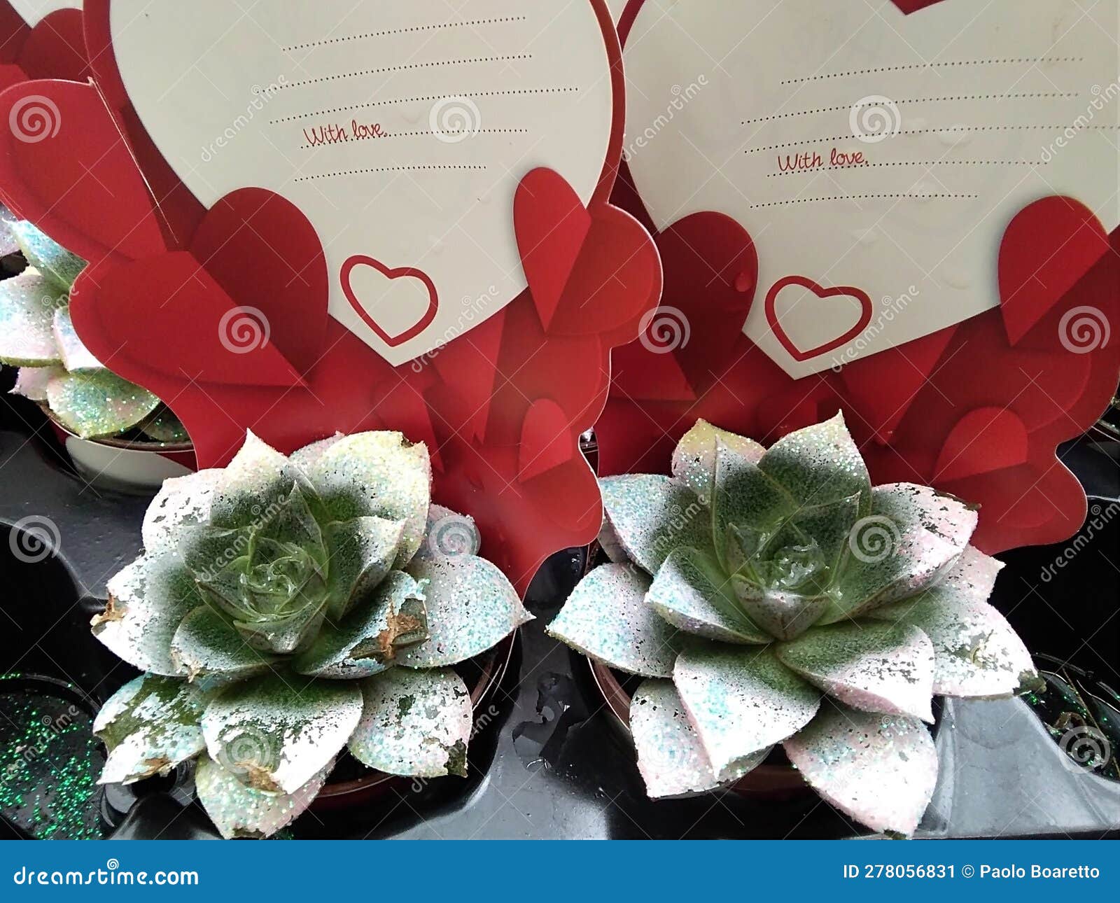 Plants with Heart Shaped Cards Stock Image - Image of shaped, vegetable ...