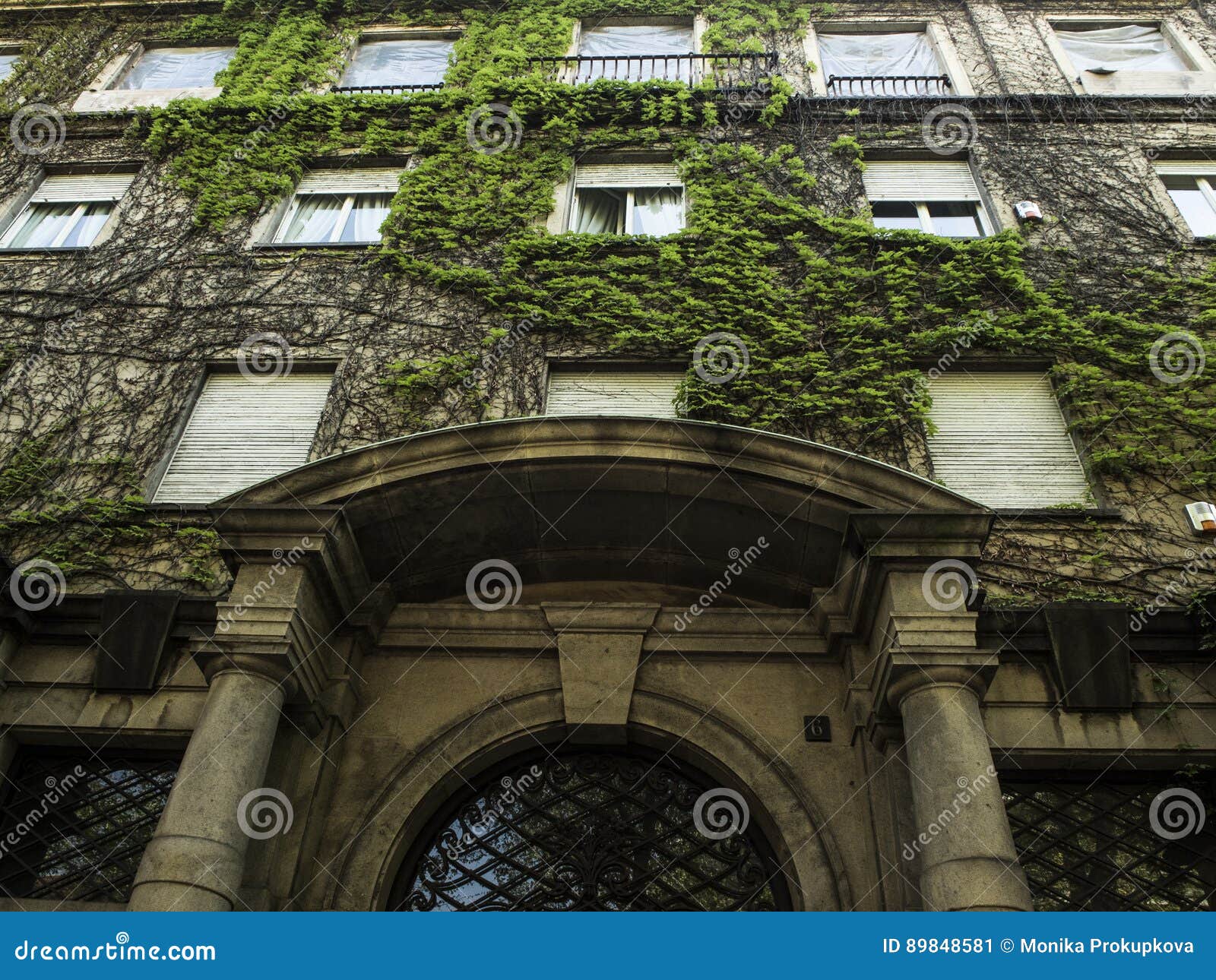 Plants on Historic Building. Editorial Photo - Image of plants ...