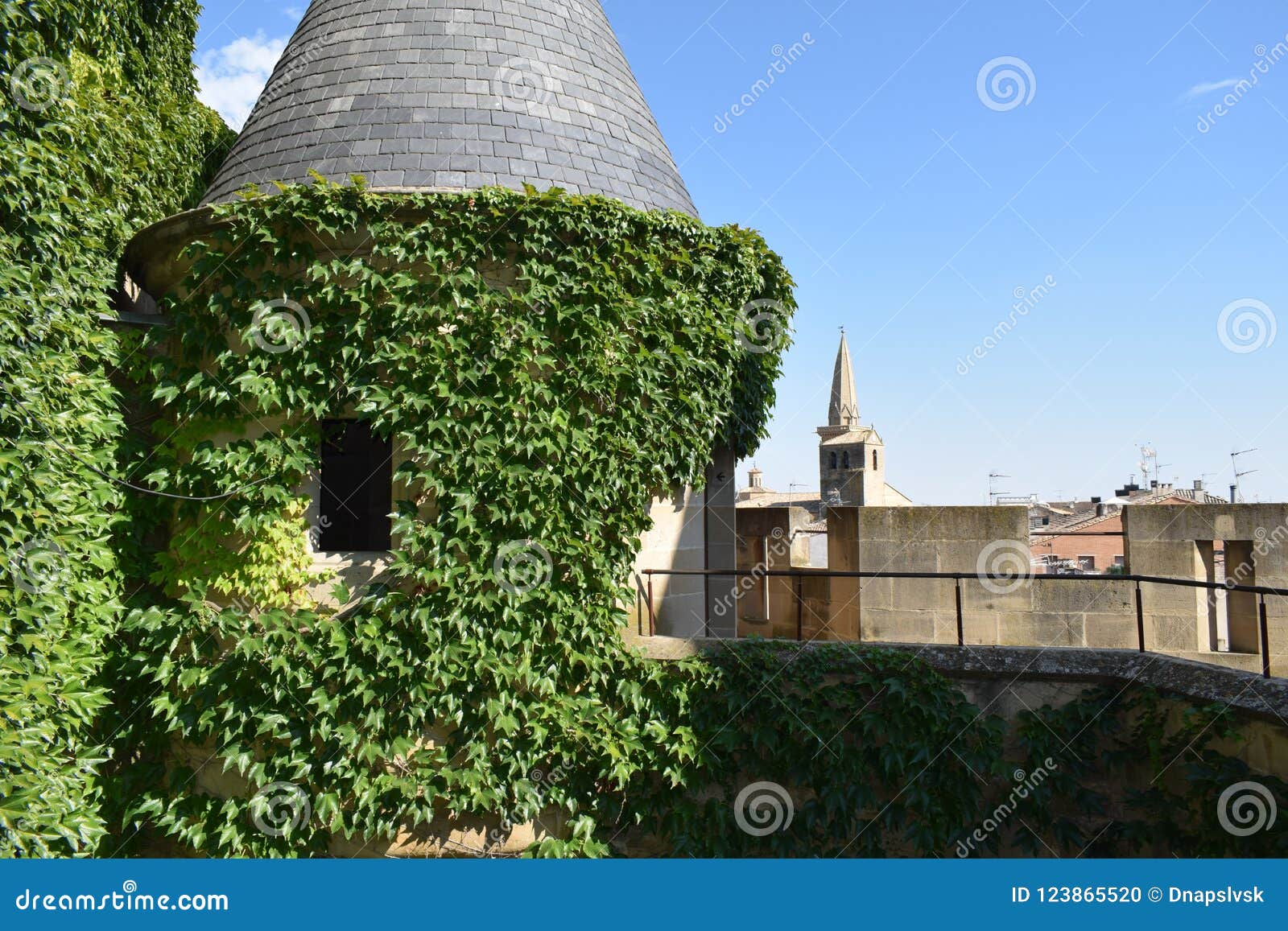 Plants hugging the castle stock photo. Image of design - 123865520