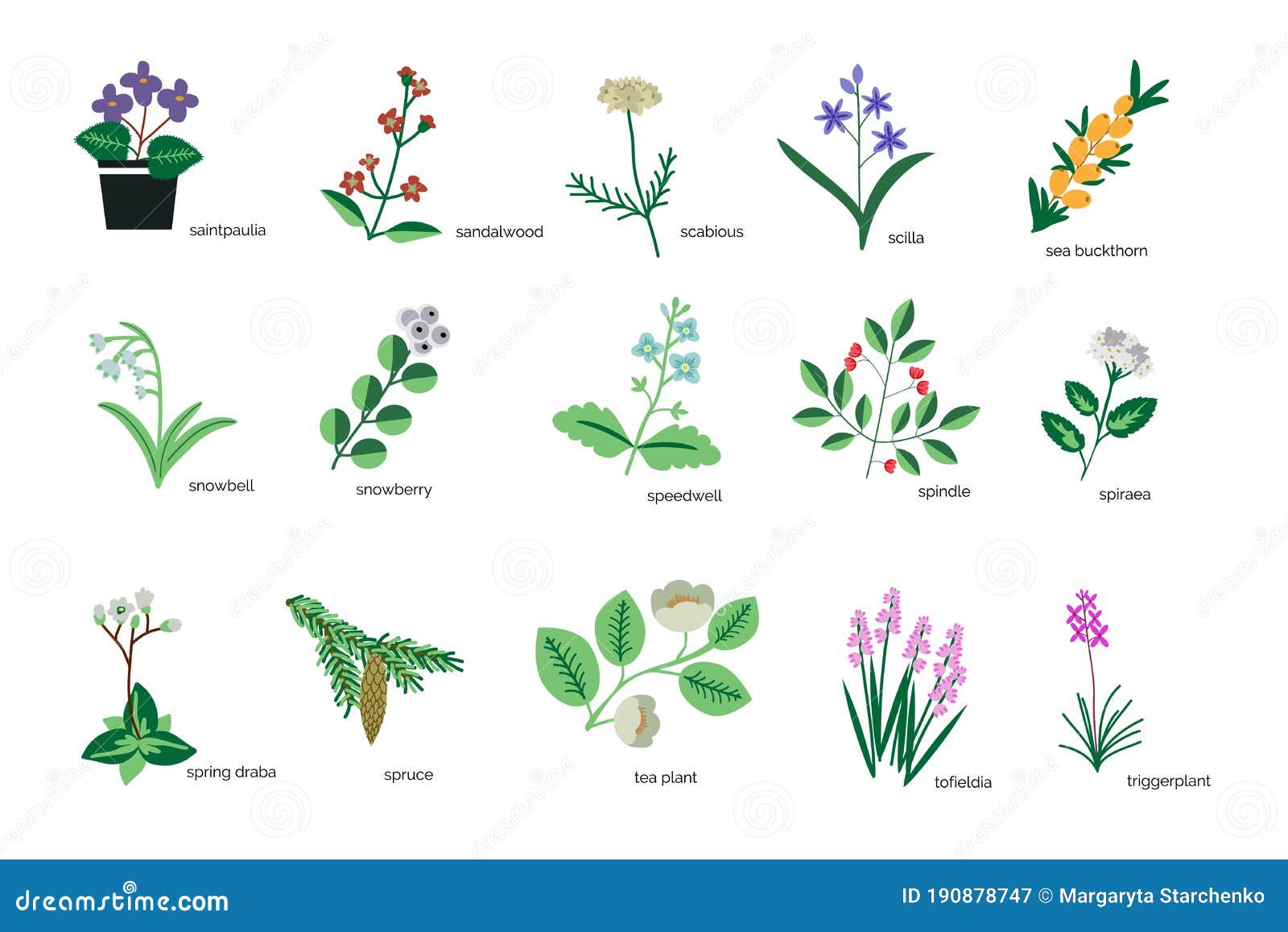 Plants icons collection stock vector. Illustration of botany - 190878747