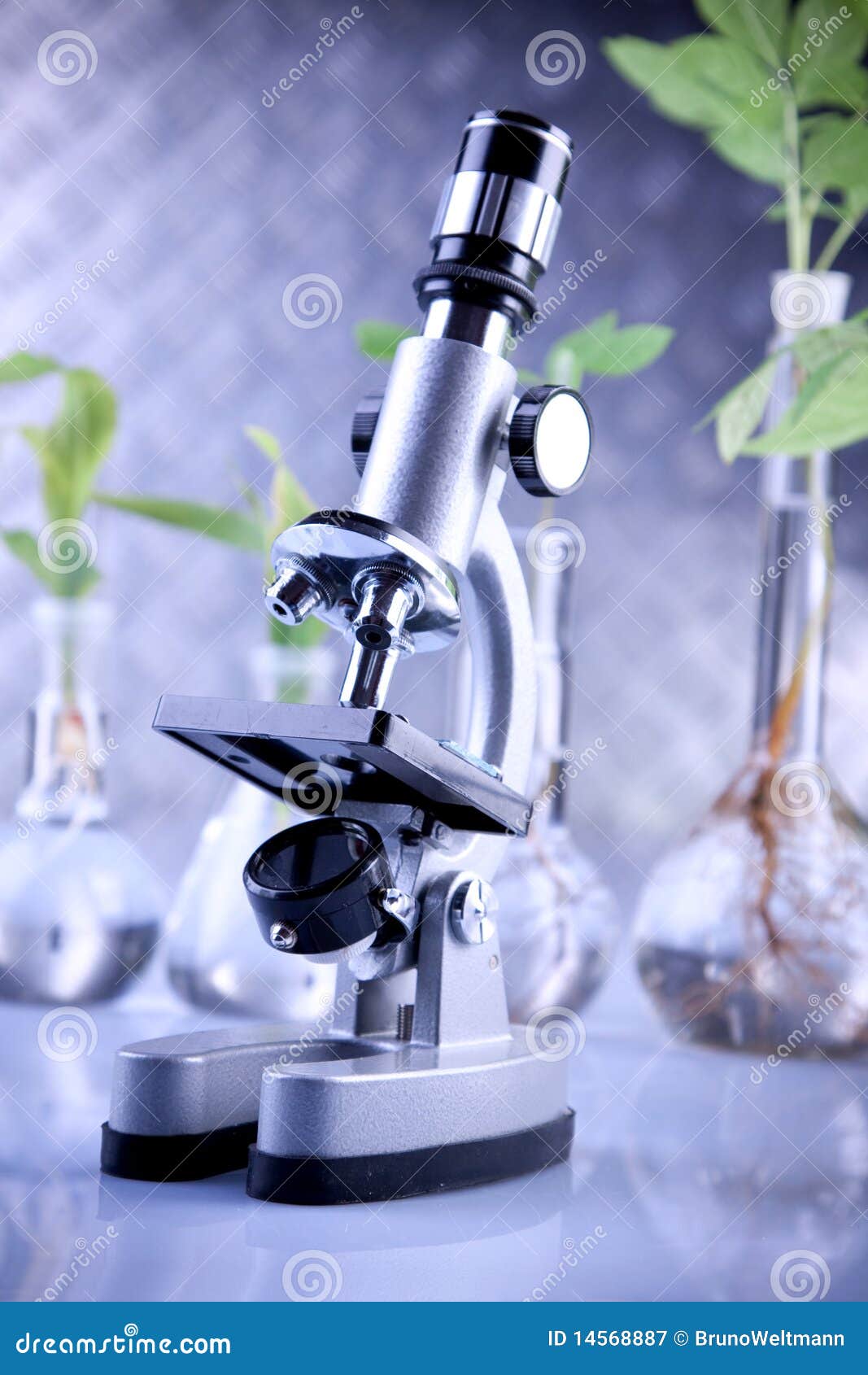 Plants In Laboratory Picture. Image: 14568887