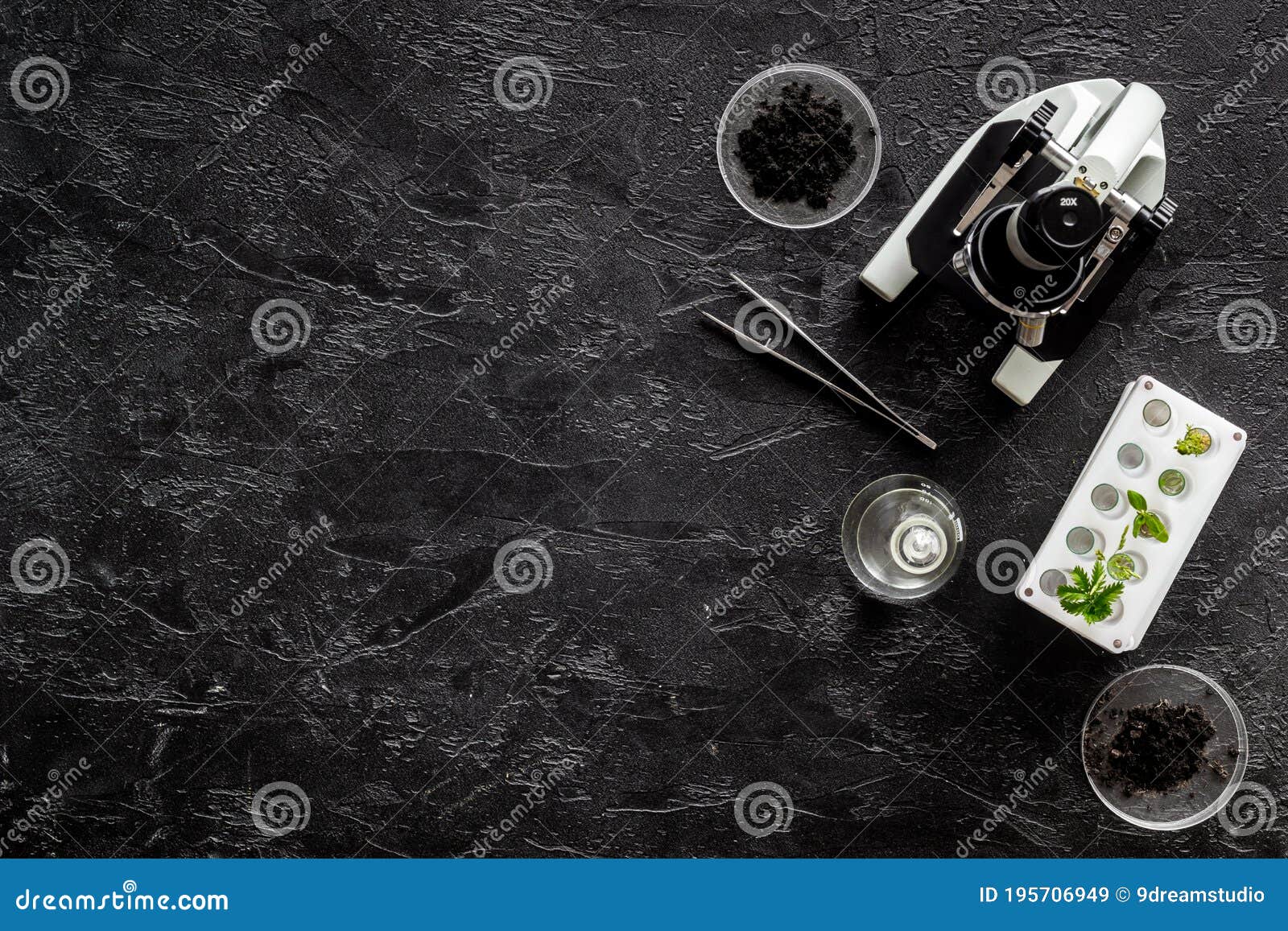 Plants with Microscope in Scientific Laboratory. Top View Stock Image ...