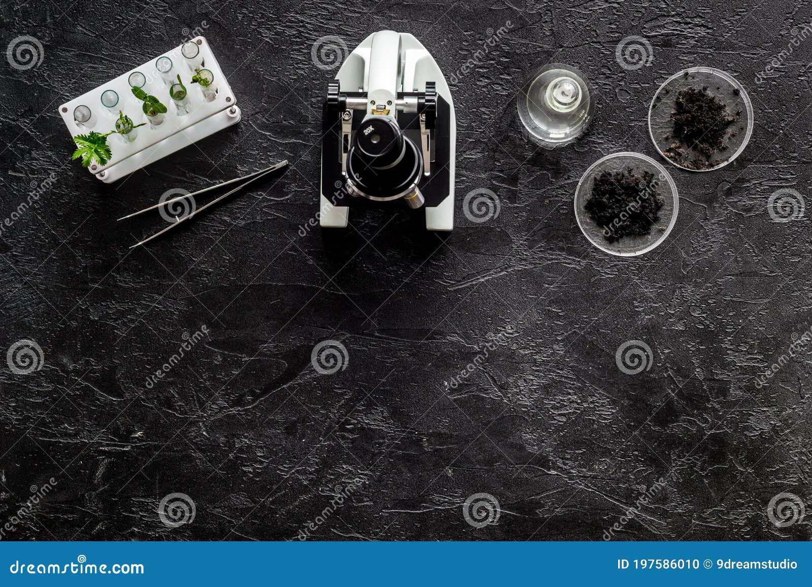 Plants with Microscope in Scientific Laboratory. Top View Stock Photo ...