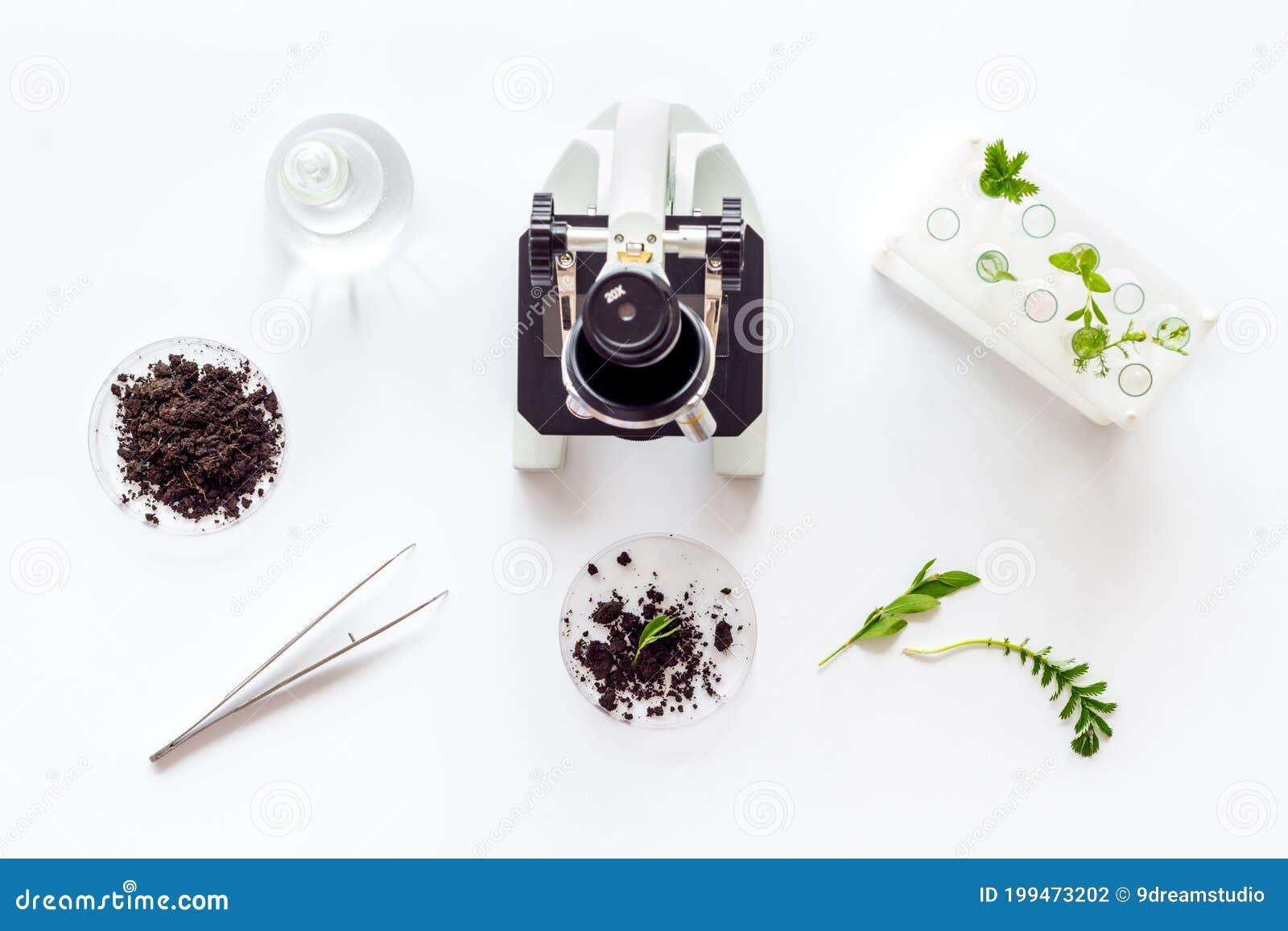 Plants with Microscope in Scientific Laboratory. Top View Stock Photo ...