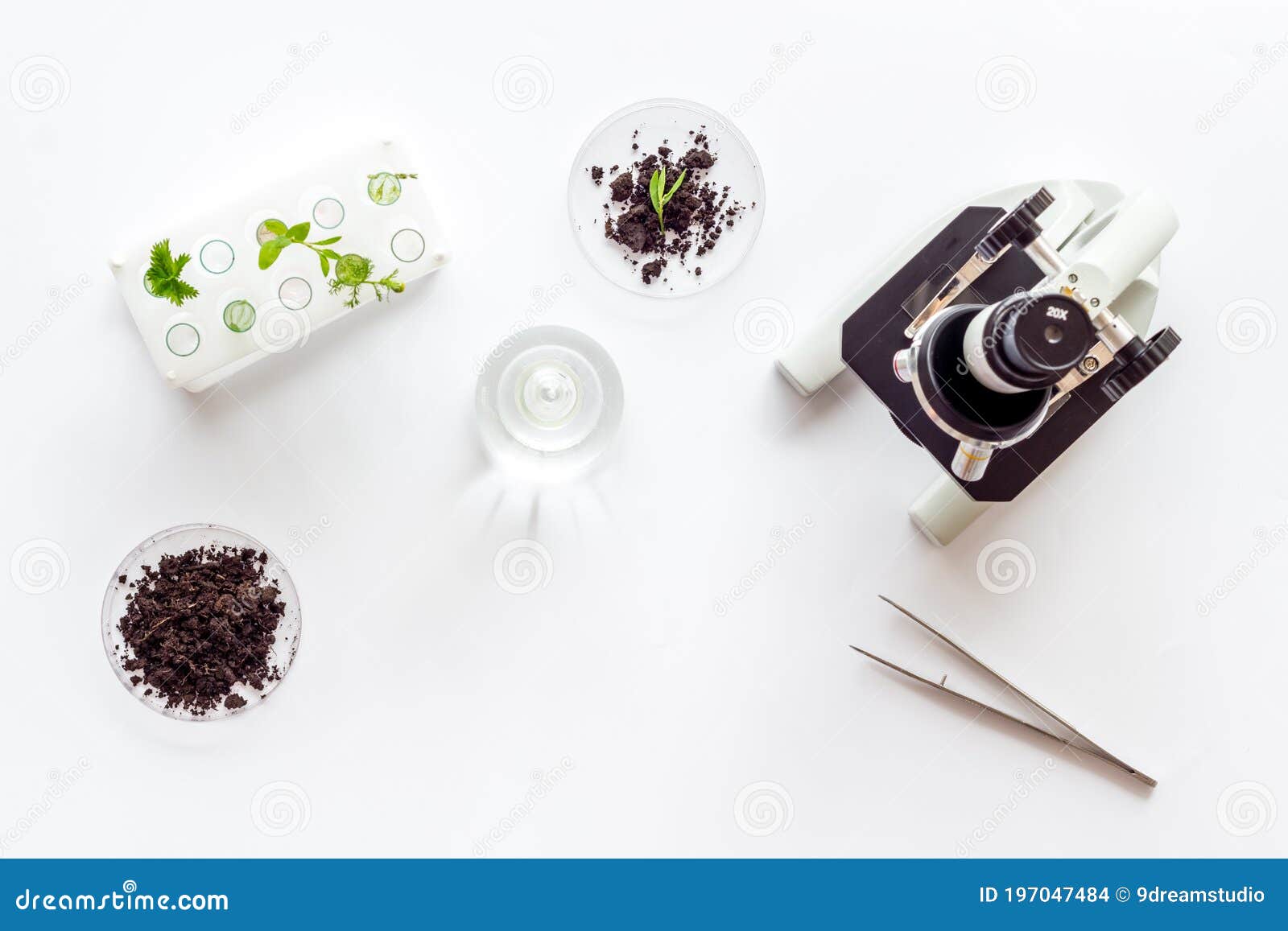 Plants with Microscope in Scientific Laboratory. Top View Stock Photo ...