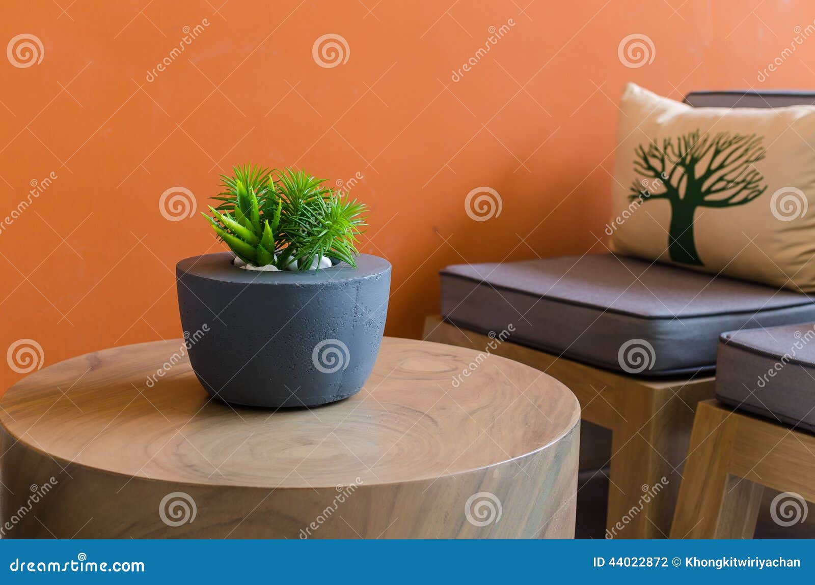 Plants in Modern Pot on Wooden Table Stock Photo - Image of grey ...