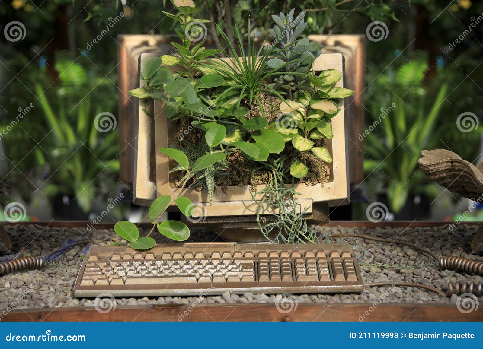 Plants Overgrowing an Old Computer Stock Photo - Image of garden ...