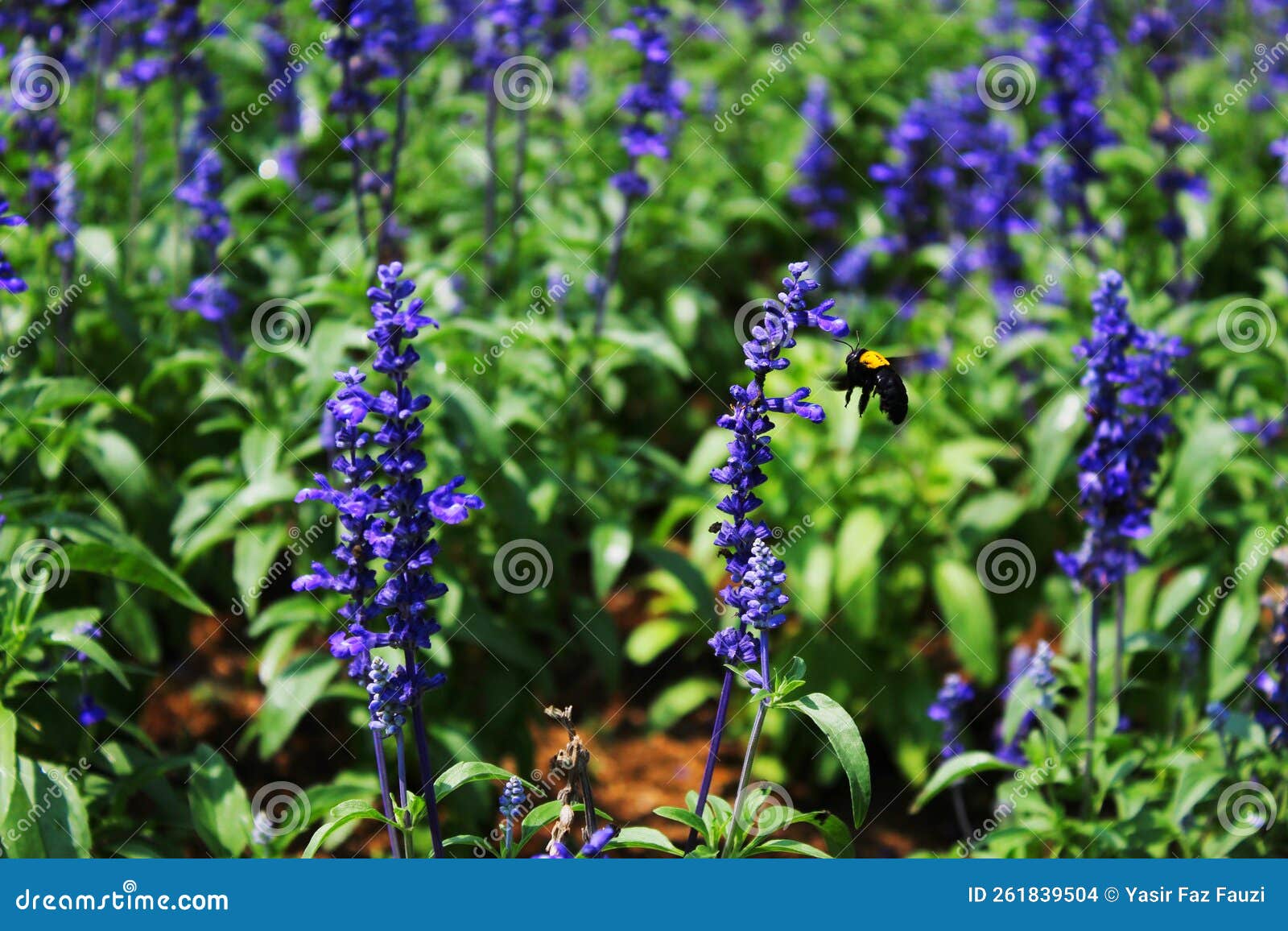 Balance In All Things Brings Peace And Contentment - Inspire ...